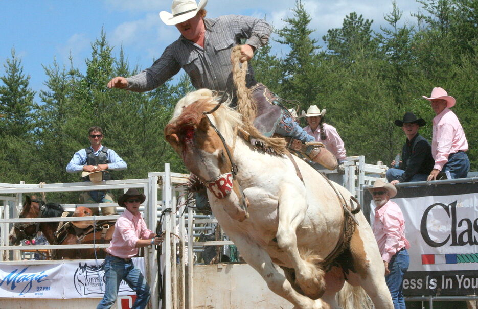 Foxes, the Rodeo, and the 4th of July